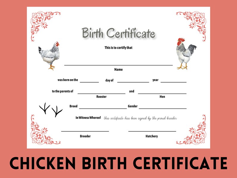 Chicken Printable Birth Certificate Breeder Record Poultry History 4H ...