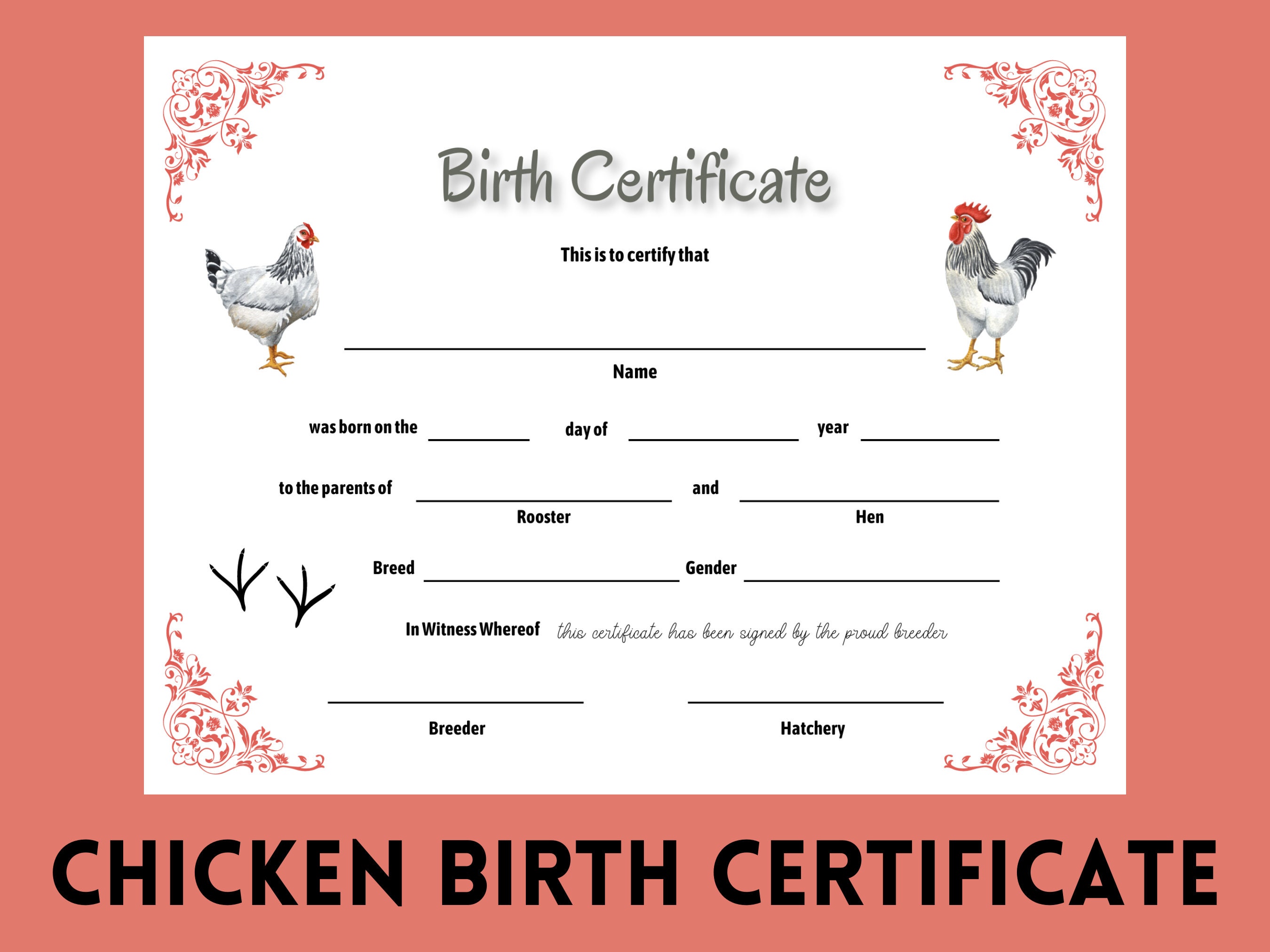 Chicken Printable Birth Certificate Breeder Record Poultry History 4H ...