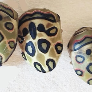 Pack of 5 Awesome Picasso Bugs Sphaerocoris Annulus 3, Hemiptera From ...