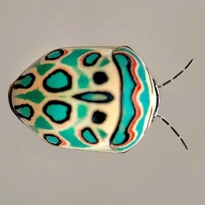 Pack of 5 Awesome Picasso Bugs Sphaerocoris Annulus 3, Hemiptera From ...