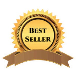 Pack of 5 Jewel Beetles Gelaeus Walkeri 20/30mm, for All Your Taxidermy ...