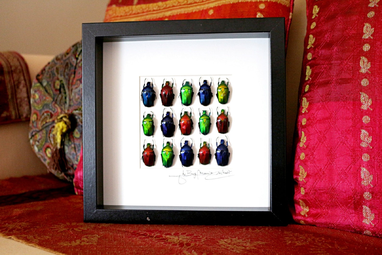 Shadow Box With Real Insects : Topquality Display With - Etsy
