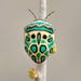 Pack of 5 Awesome Picasso Bugs Sphaerocoris Annulus 3, Hemiptera From ...