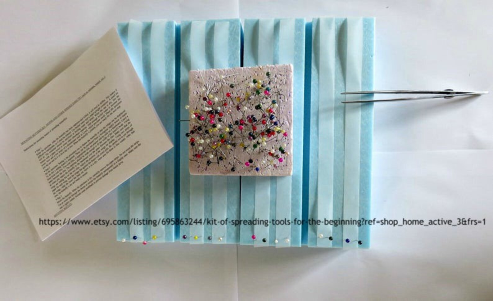 Pack of 6 Scarab Beetle Phanaeus Demon Female 15/20mm | Etsy