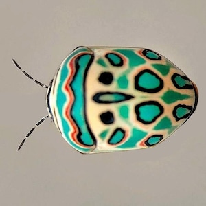 Pack of 5 Awesome Picasso Bugs Sphaerocoris Annulus 3, Hemiptera From ...