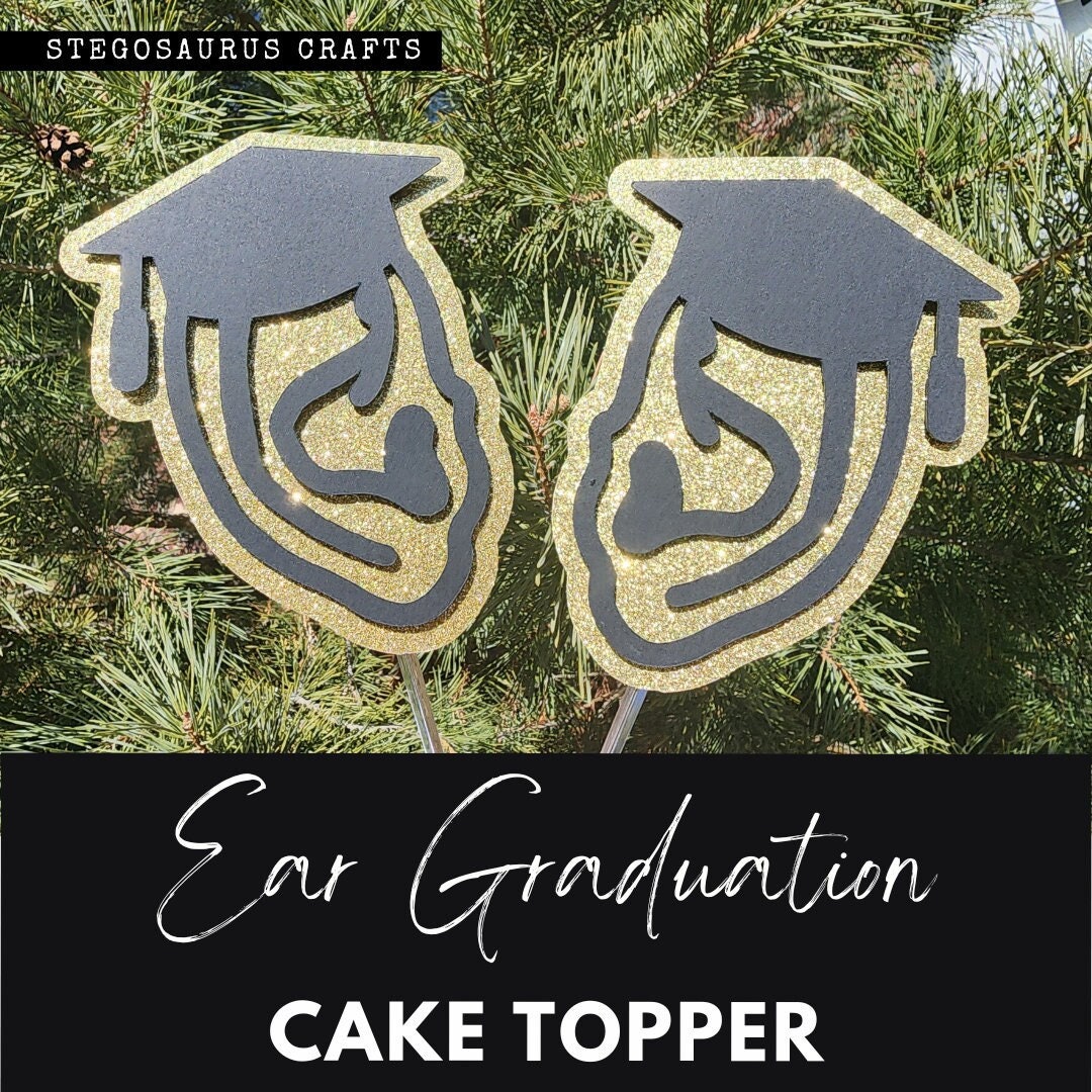 Ear 3D Right + Left Sided Cake Topper - Perfect for Ent/audiology ...