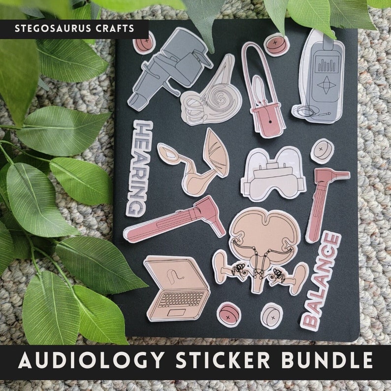 Audiology Sticker Variety Pack Hearing and Balance Related - Etsy