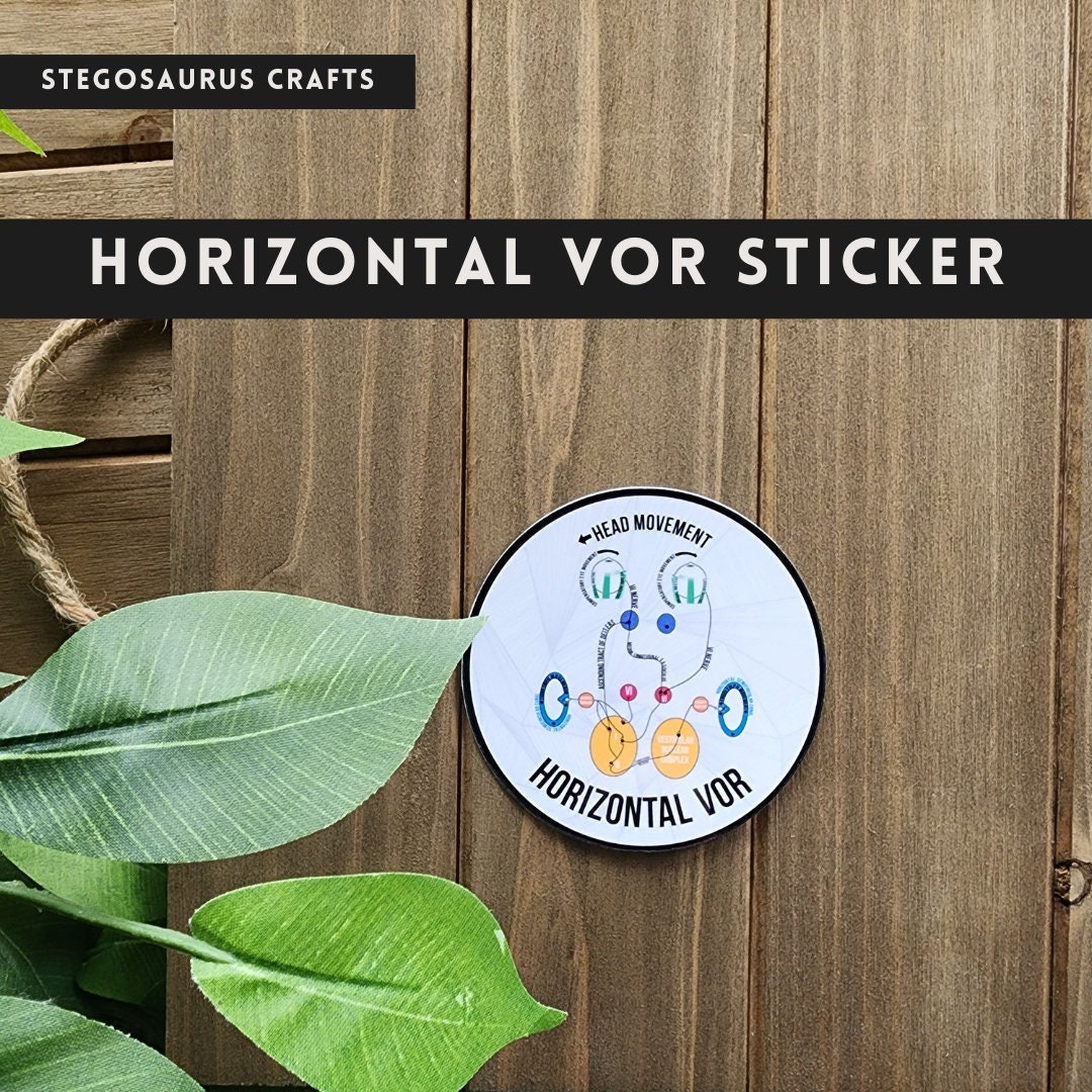 Horizontal VOR Pathway Sticker - Vestibular Audiology Sticker - Etsy