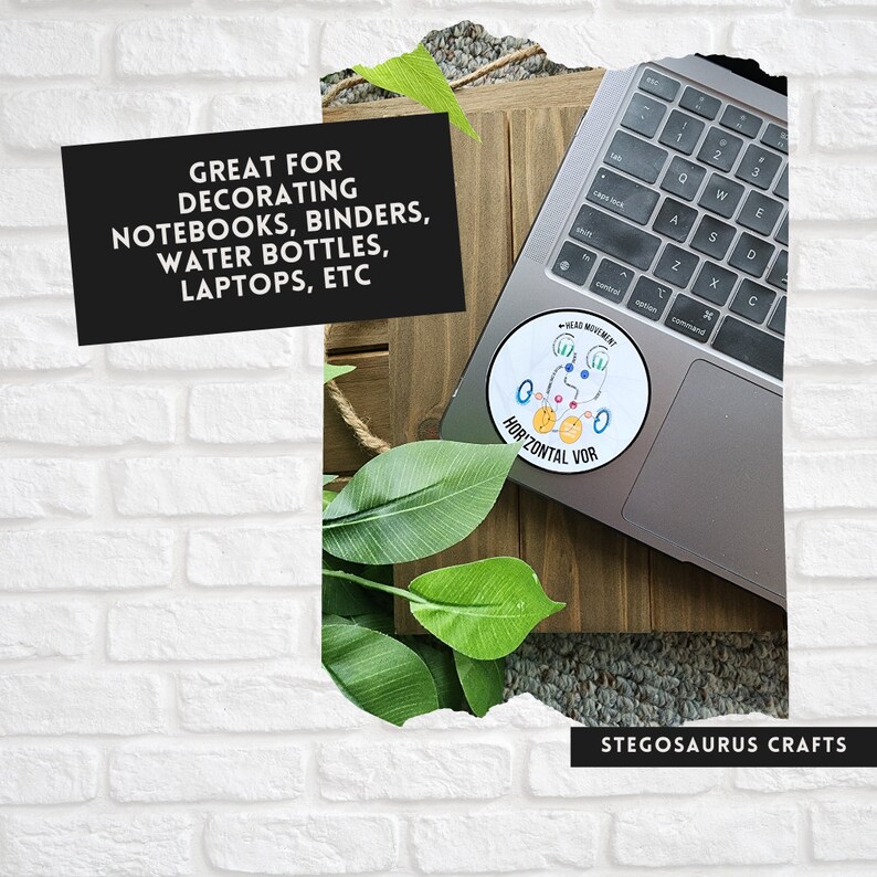 Horizontal VOR Pathway Sticker Vestibular Audiology Sticker - Etsy