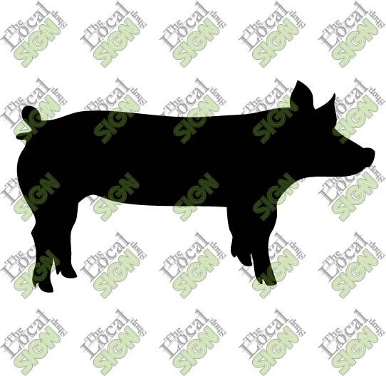 Vector - Show Pig - Digital Download - Etsy