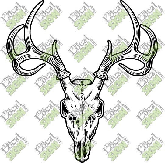 Vector - Deer Skull- Digital Download - Etsy