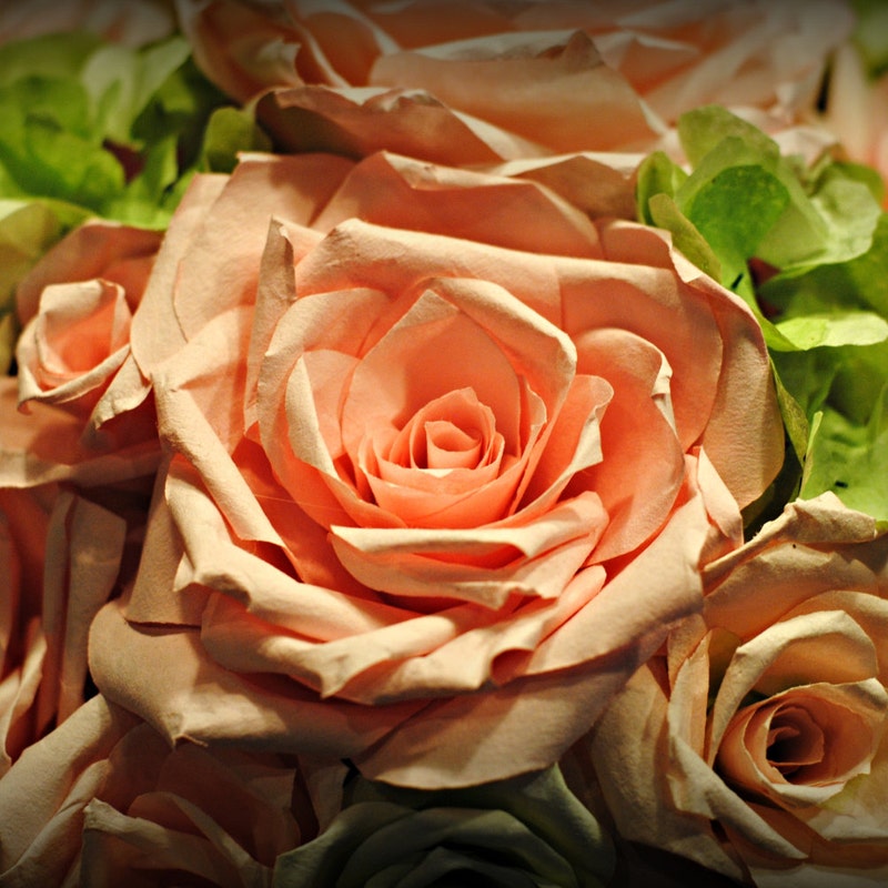 Coffee Filter Roses - Etsy