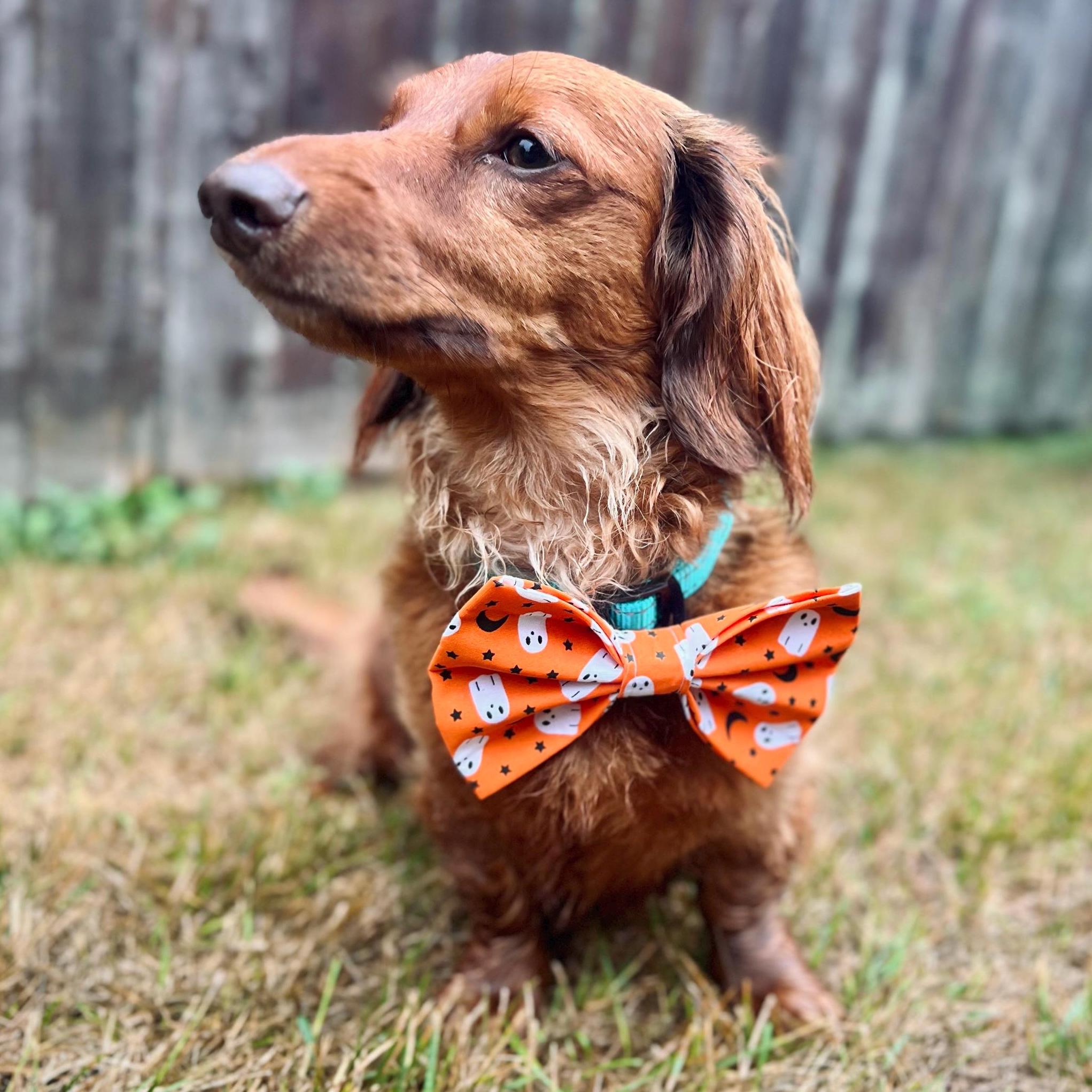 Large Dog Bow Ties Cat Bow Halloween Bowtie Seasonal Dog Bow Tie ...