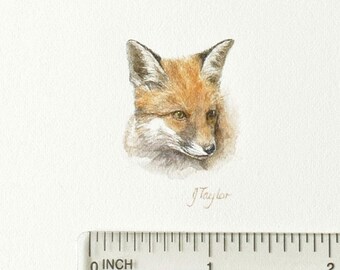 Jan Taylor Art - Etsy