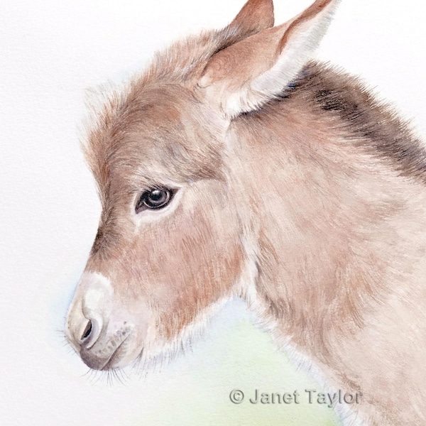 Jan Taylor Art - Etsy UK