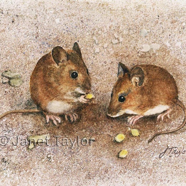 Jan Taylor Art - Etsy