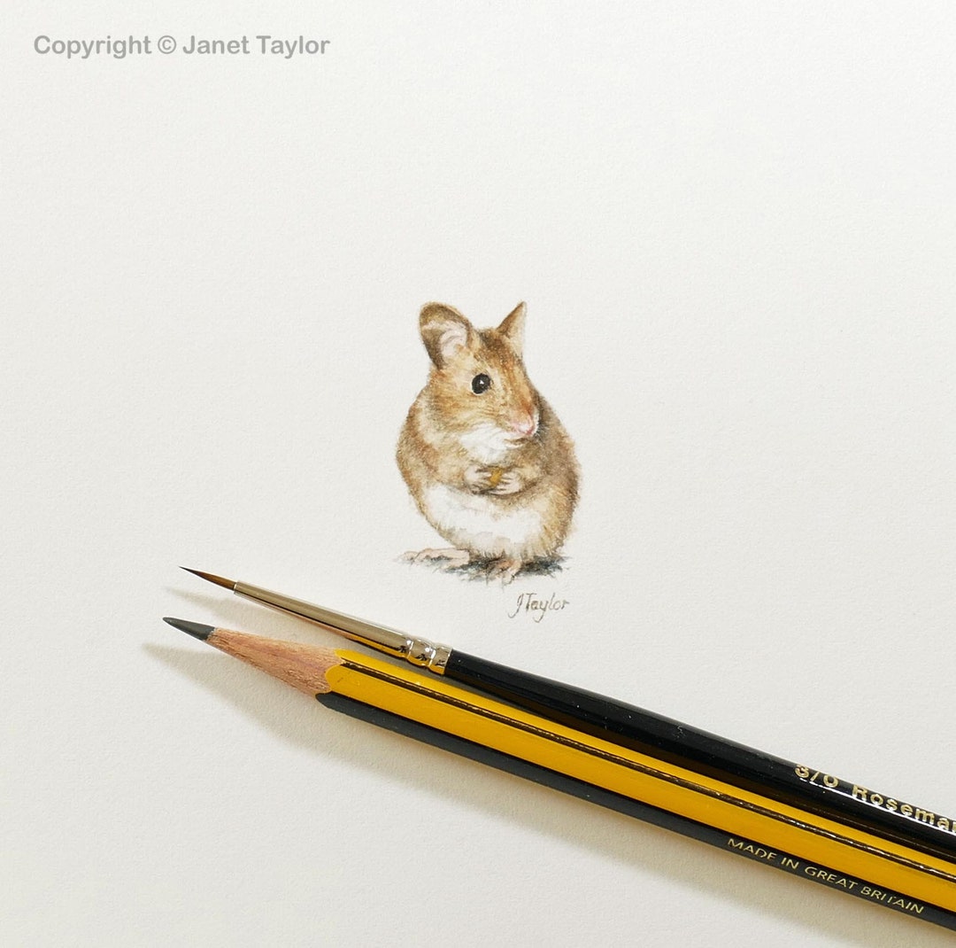 Wood Mouse: Print of a Miniature Watercolour by Jan Taylor. Tiny Art ...