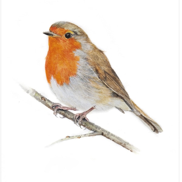 Robin Painting - Etsy
