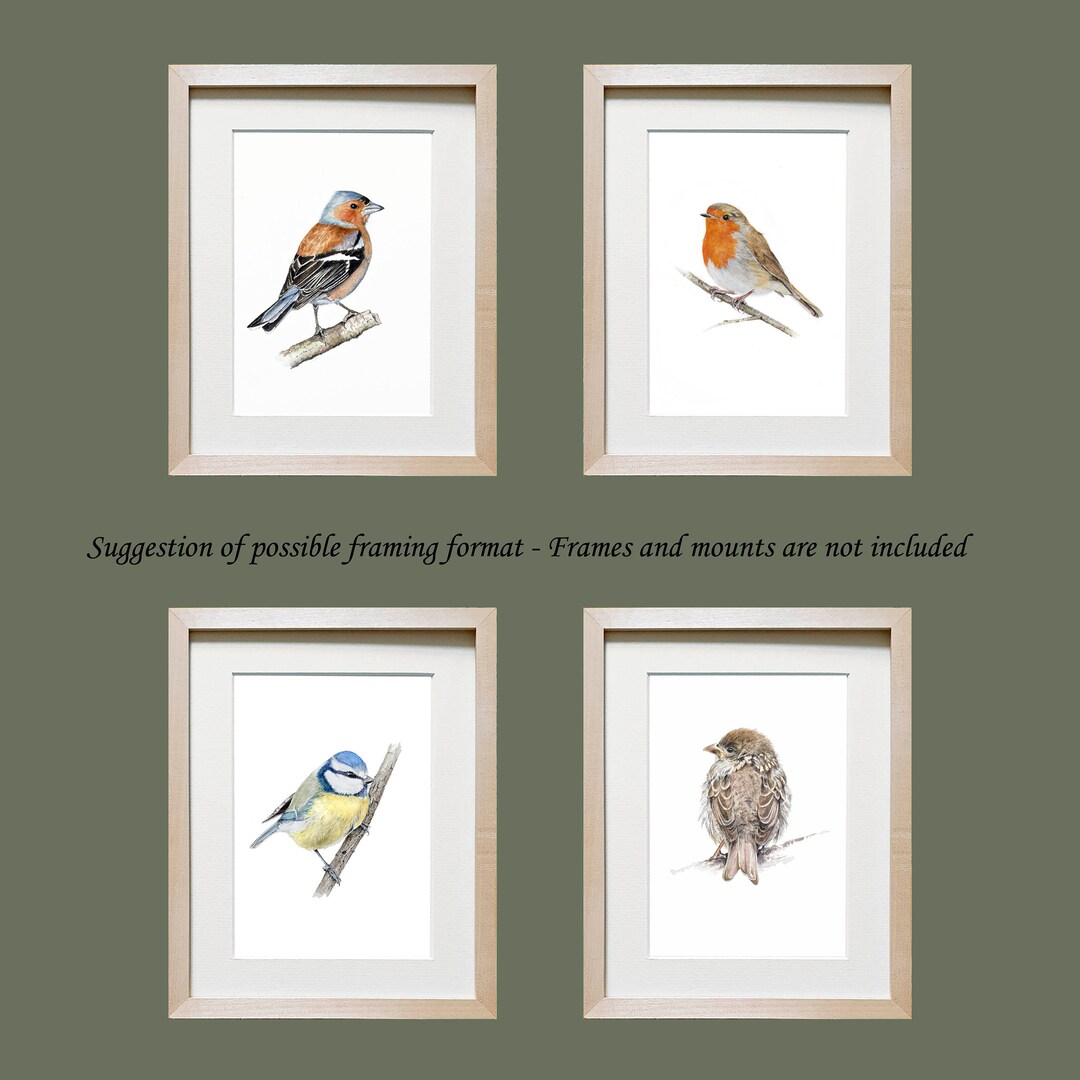 Four for Three Offer: Garden Birds Prints, 4 X A5 Fine Art Prints ...