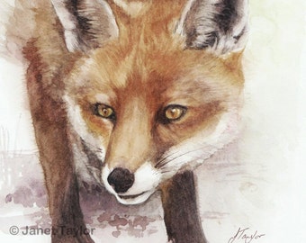 FOX Signed Print of a Watercolour Painting by Jan Taylor Red | Etsy