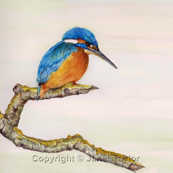 Jan Taylor Art - Etsy UK