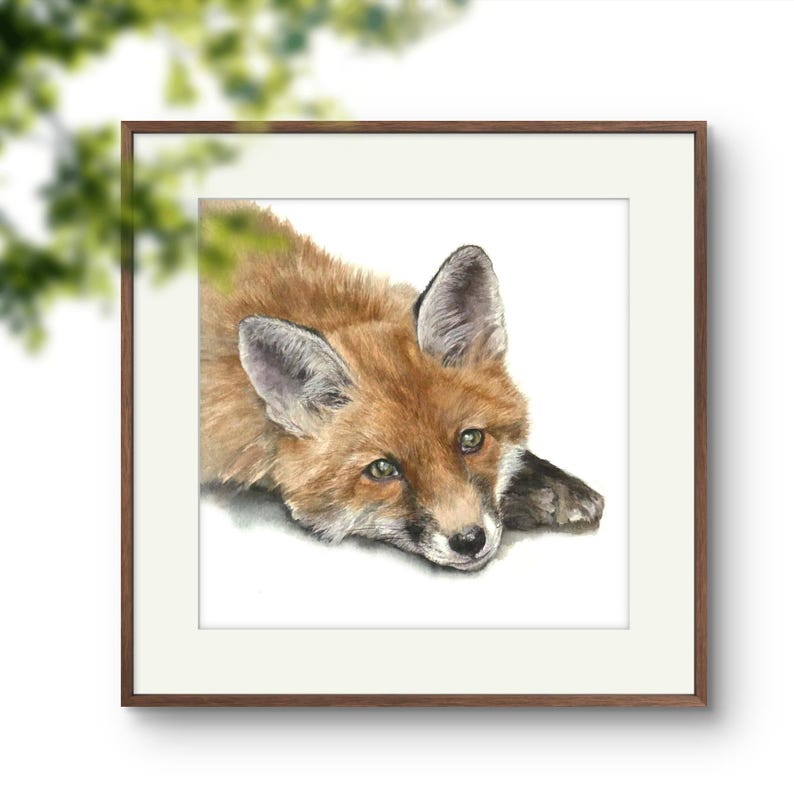 FOX Signed Print of a Watercolour Painting by Jan Taylor, Red Fox 2 - Etsy
