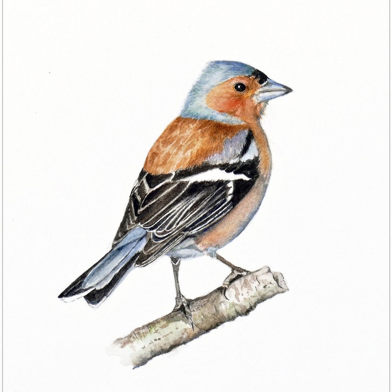 JanTaylorArt - Etsy