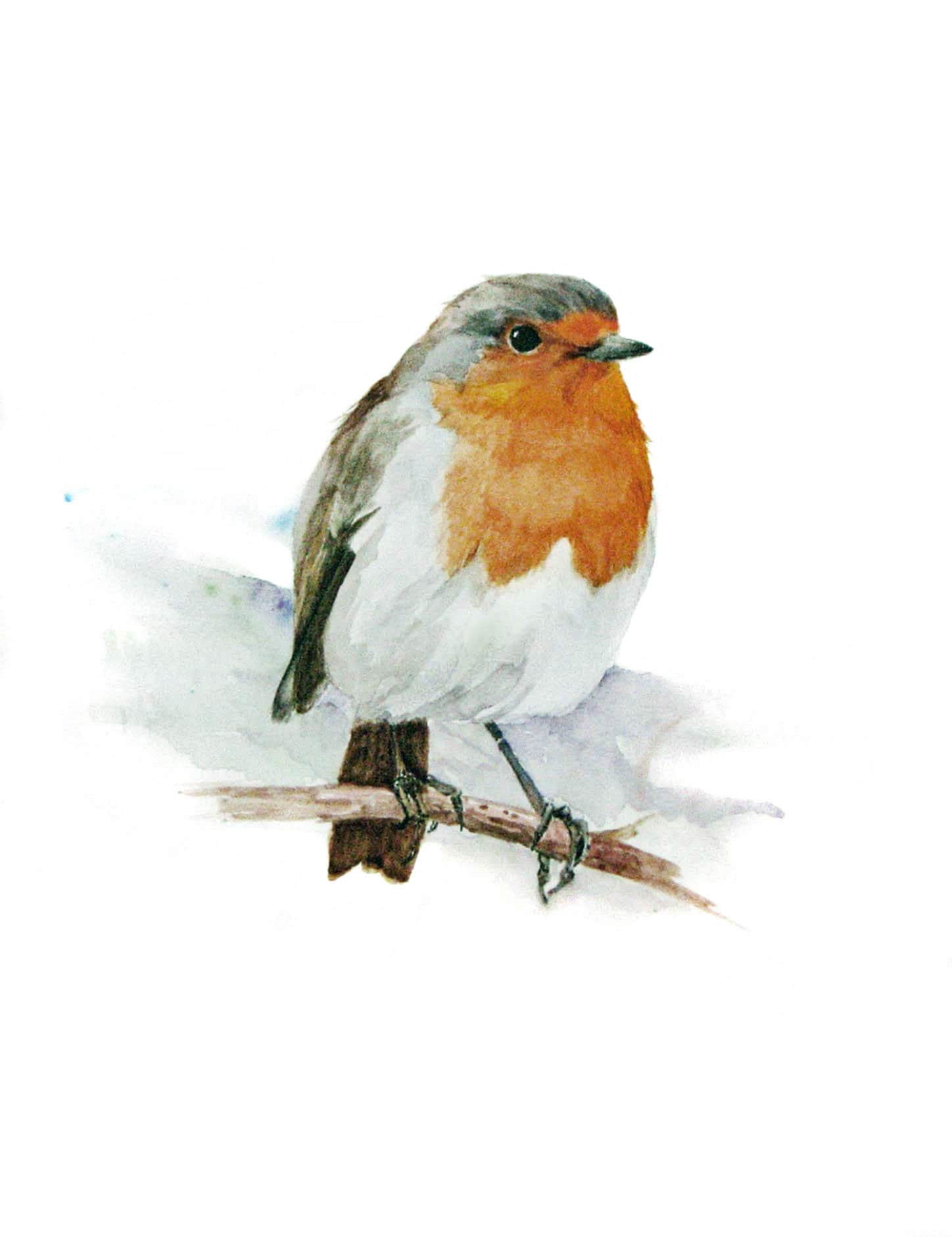 ROBIN 2: Fine Quality Signed Print of a Watercolour Bird Painting by ...