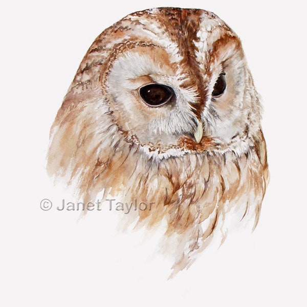 Jan Taylor Art - Etsy