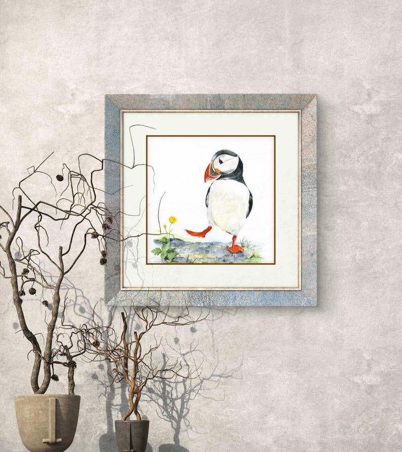 PUFFIN: Signed Print of a Watercolour Painting by Jan Taylor - Etsy