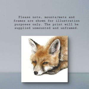 FOX Signed Print of a Watercolour Painting of a Red Fox by Jan Taylor ...