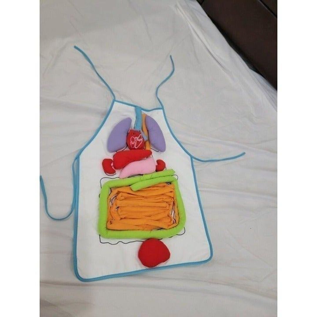 3D Organ Apron Anatomy Apron Human Body Organs Awareness Educational ...