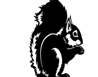 Cute Squirrel Car Van Bonnet Vinyl Side Sticker Wall Art Hood Vinyl ...