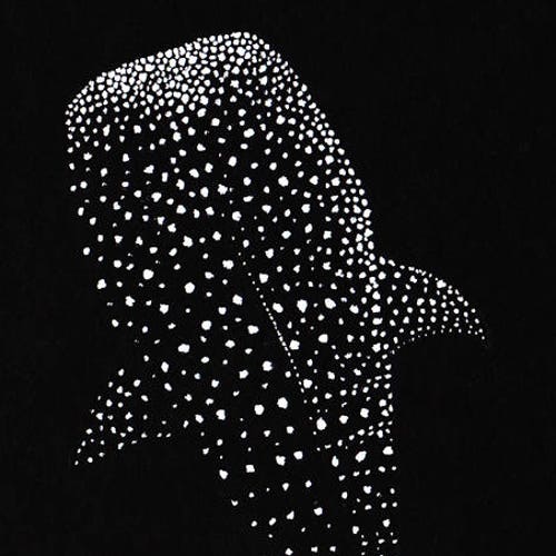 Fine Art Print of Pointillism Illustration: Whale Shark by - Etsy