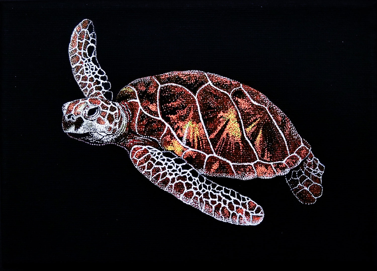 Easy Scratch Art Turtle