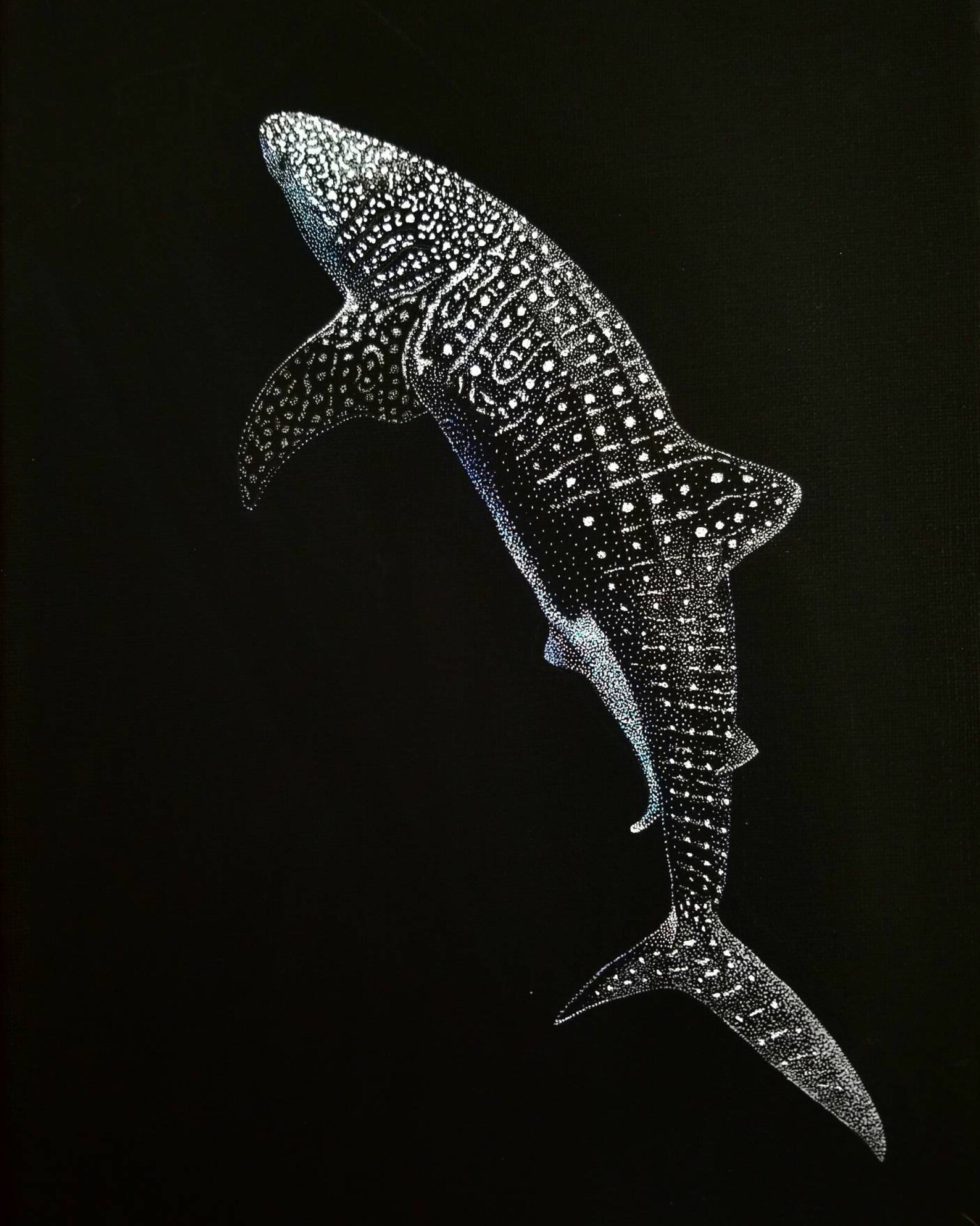 Fine Art Print of Pointillism Illustration: Whale Shark Profile by ...