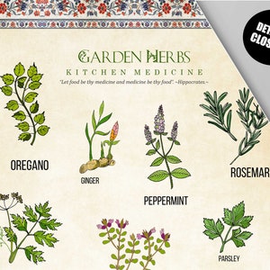 Herbs Print, Herbs Poster, Kitchen Wall Art, Prints for Kitchen, Food ...
