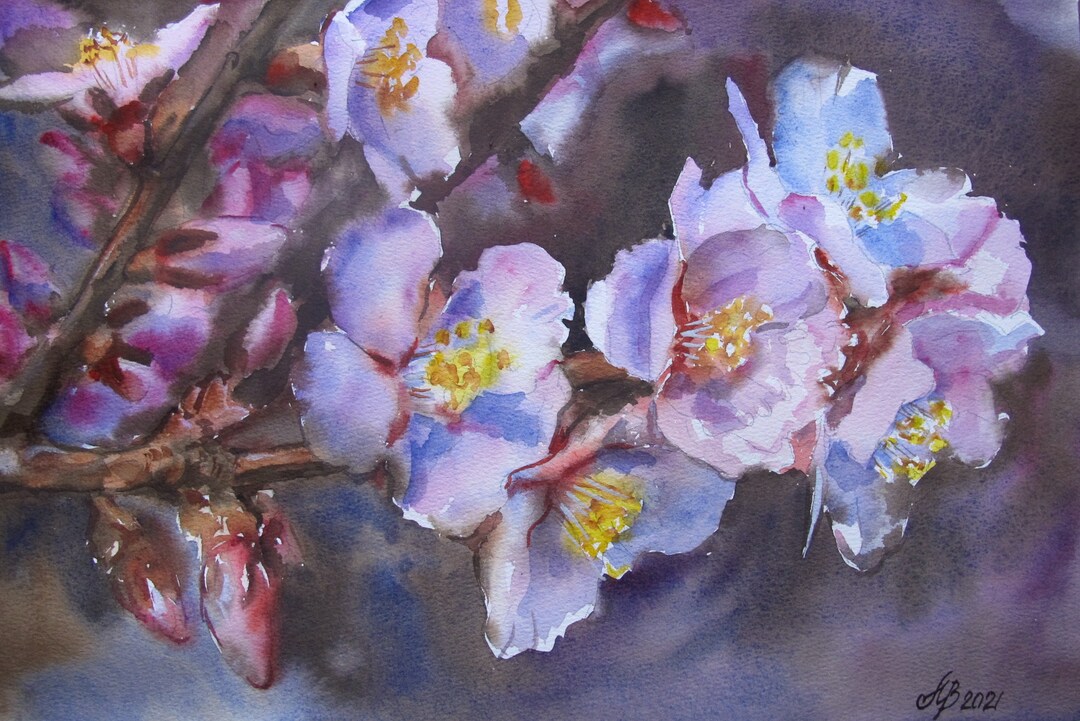 Cherry Blossoms. Sakura. Garden. Spring. Original Watercolor - Etsy