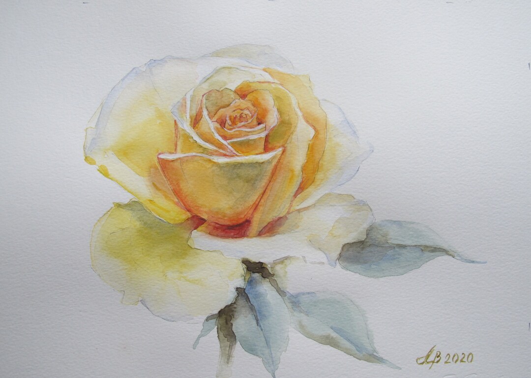 Yellow Rose Original Watercolor Paintings Flowers. Handmade - Etsy UK
