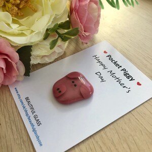 Pocket Pig Card, Cute Animal Gift, Thinking of You, Letterbox Hug ...