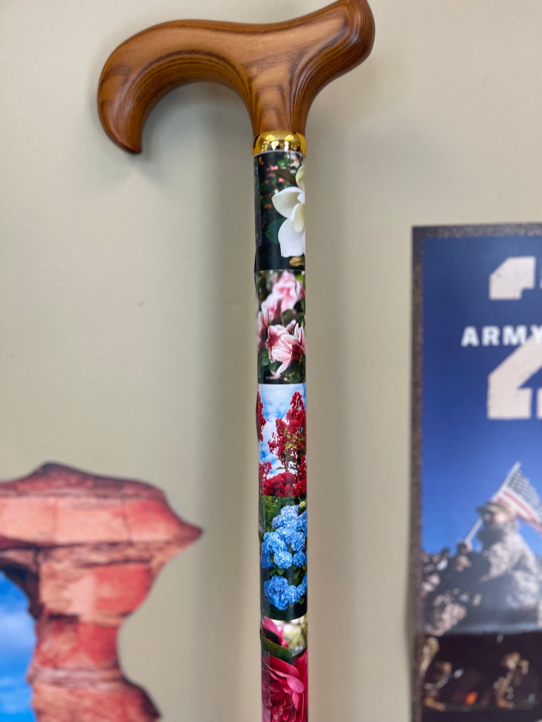 Custom Cane of Dinosaur Pictures, Pictures of Dinosaur's, Large ...