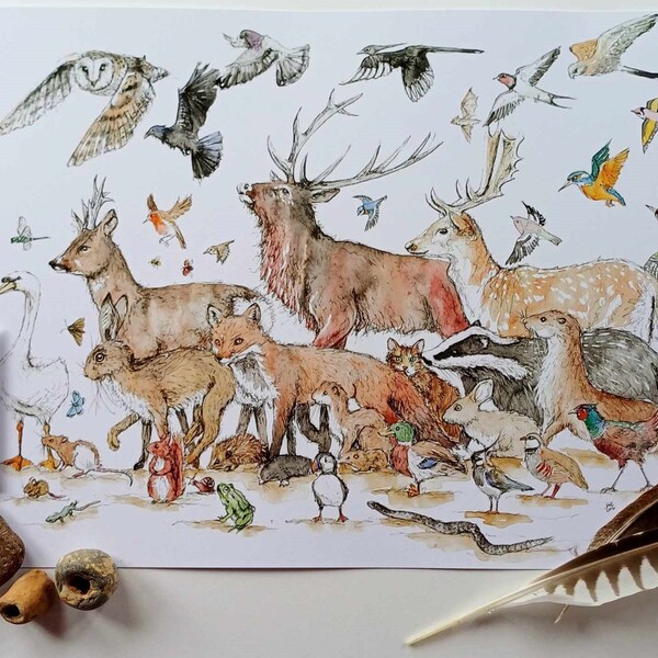 Wildlife Poster - Etsy UK