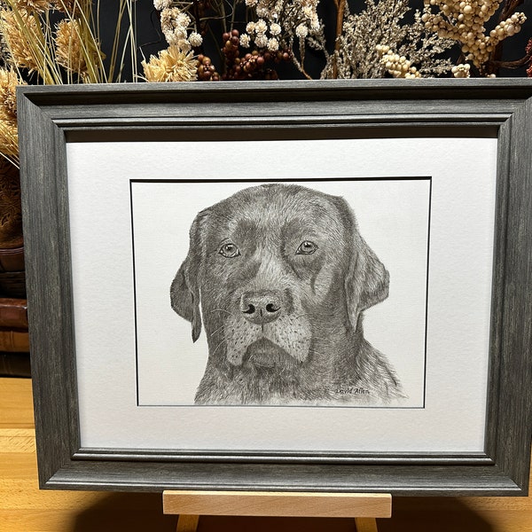 Black Lab Pencil Drawing - Etsy