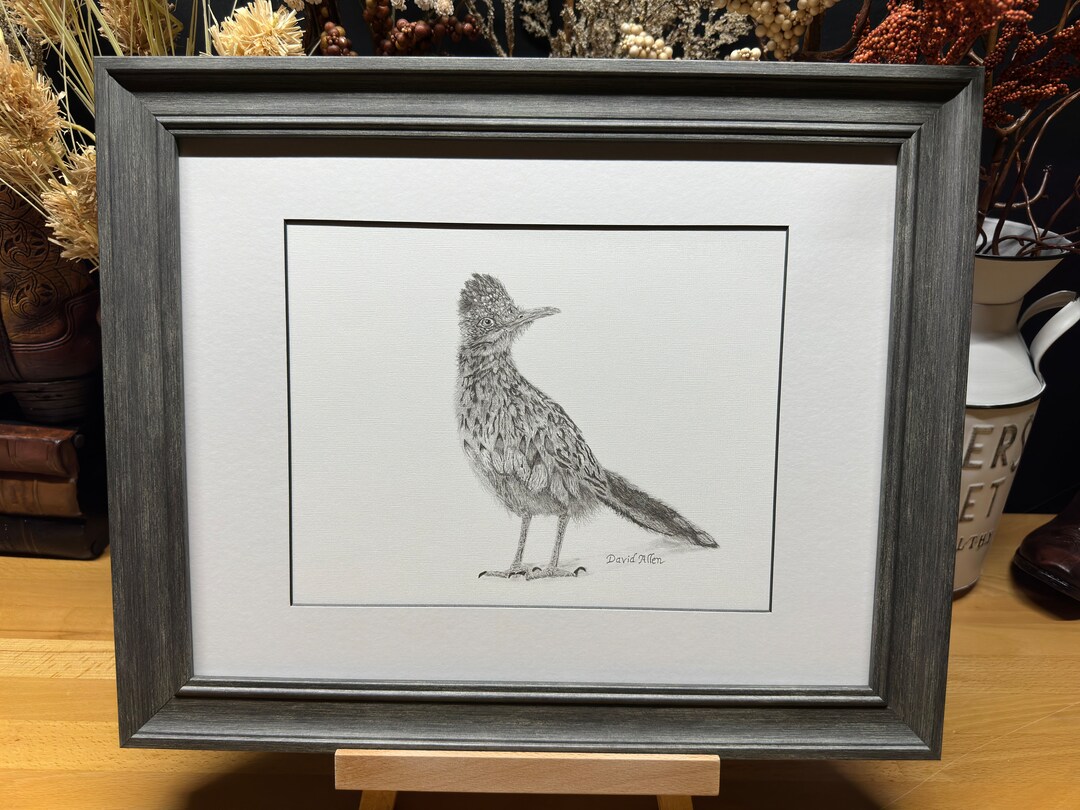 Roadrunner Road Runner Bird Graphite Pencil Art Sketch Drawing Print ...