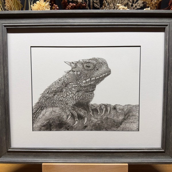 Horned Toad - Etsy