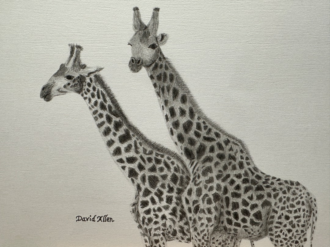 Noah's Ark Series Giraffes Graphite Pencil Art Sketch Drawing Print ...