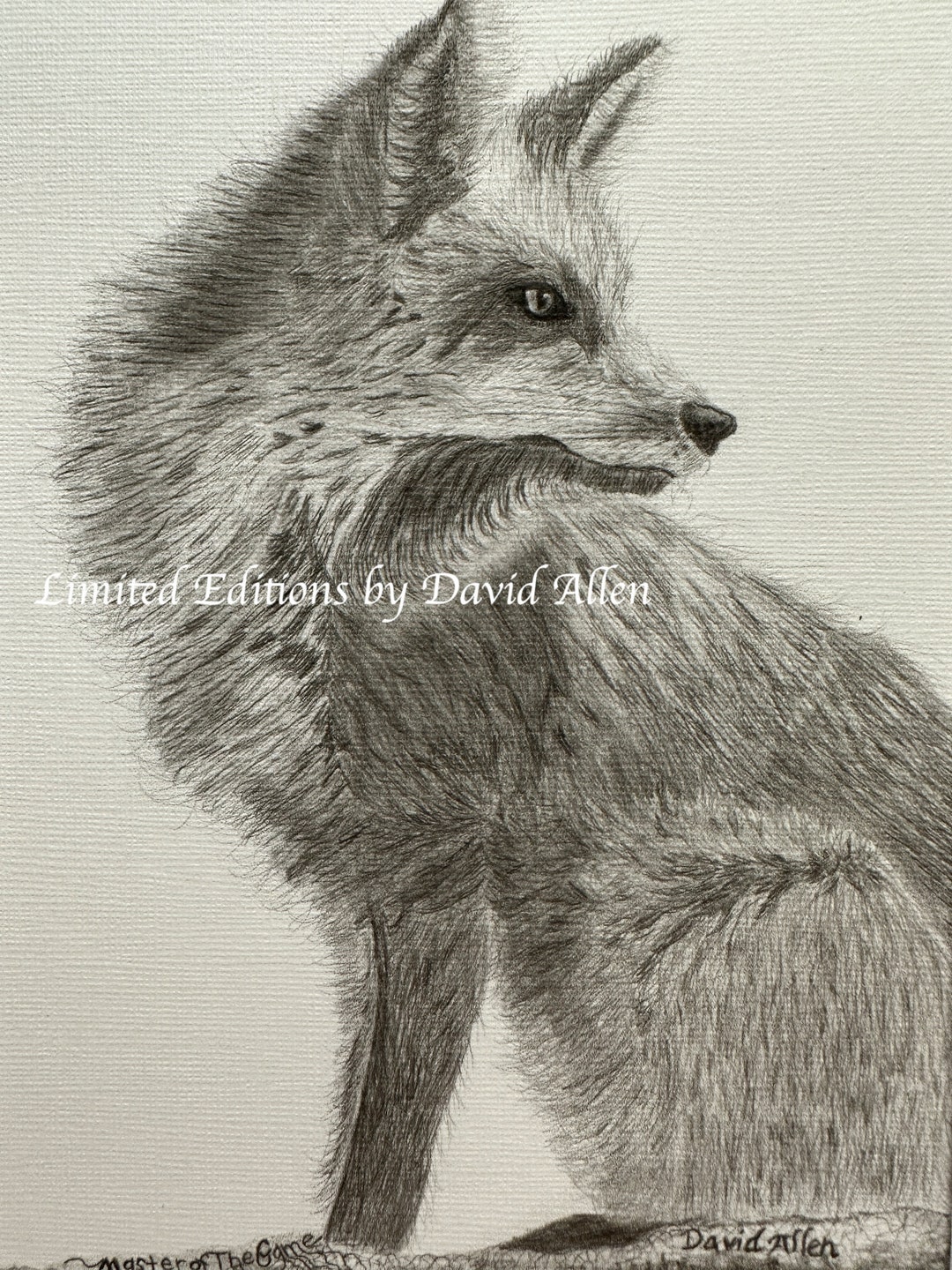 Fox Nature Wildlife Graphite Pencil Art Sketch Drawing Print - Etsy