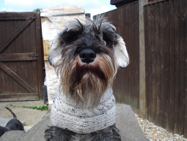 Handmade Tweed Small or Medium Dog Coat Jumper With Buttons and Cables ...