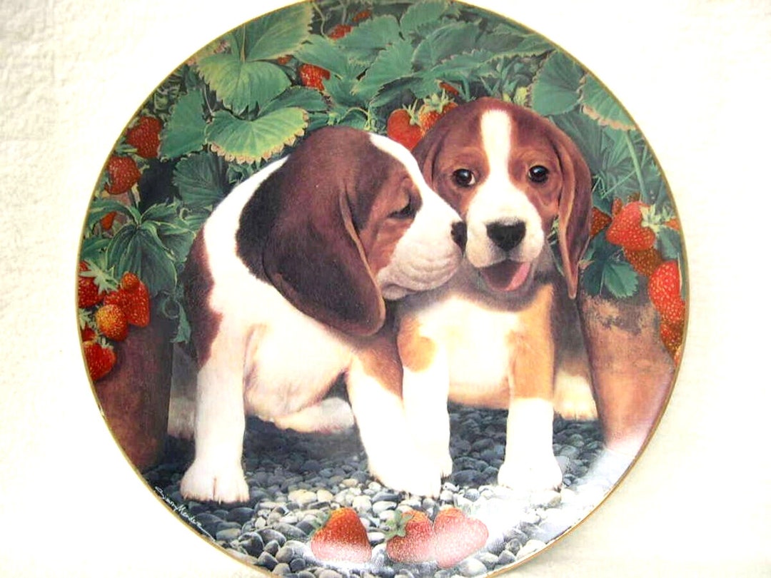 Beagle Dog Puppy Plate Plaque Gift Limited Edition Called Berry Sweet ...