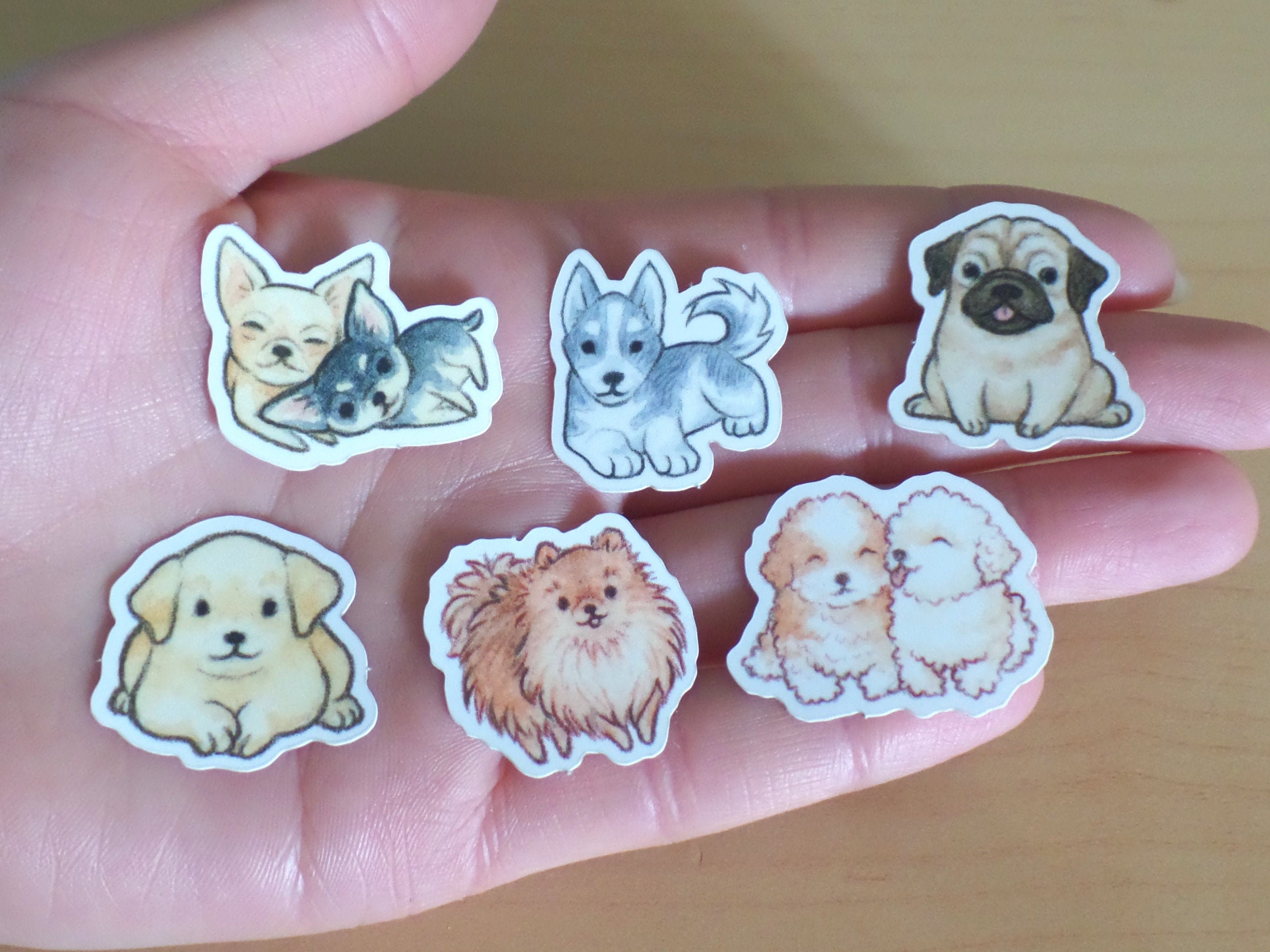 Pug Mixed With Golden Retriever